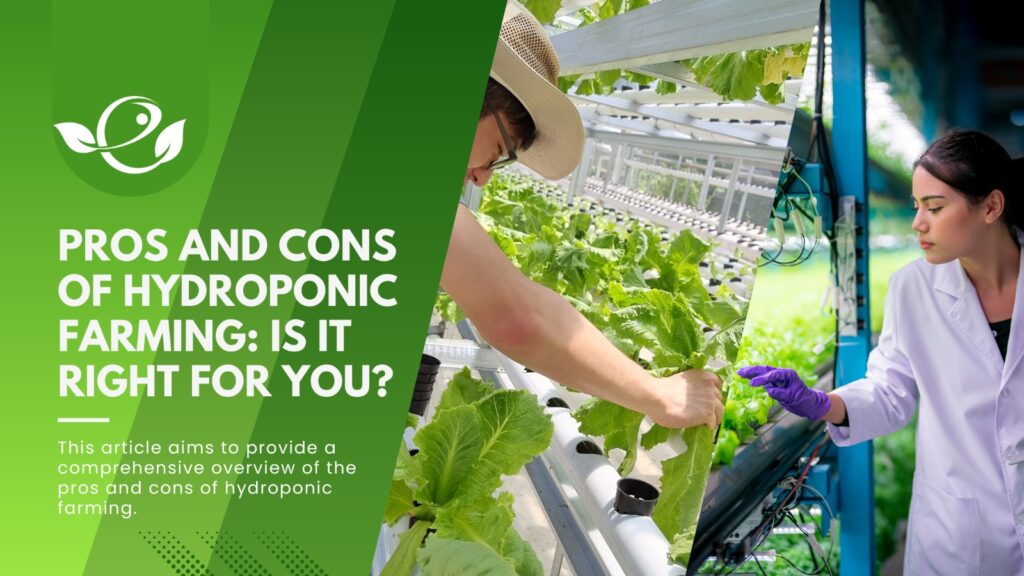 Pros and Cons of Hydroponic Farming: Is It Right for You?