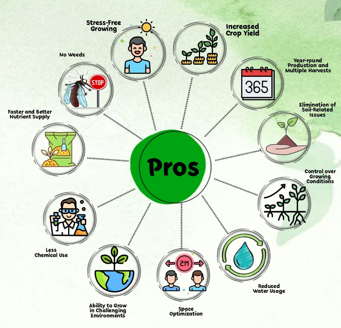 Pros and Cons of Hydroponic Farming: Is It Right for You?