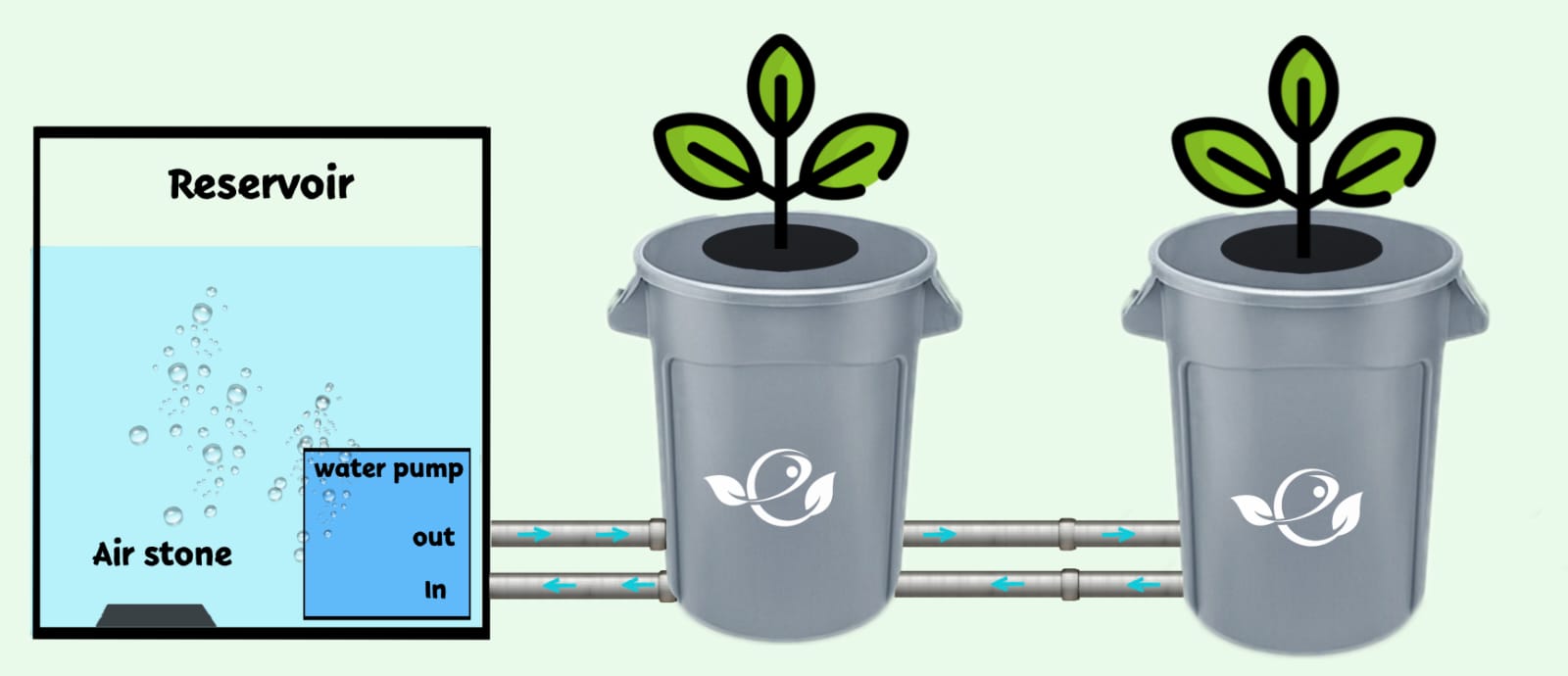 Deep Water Culture (DWC) in hydroponics: A Beginner's Guide