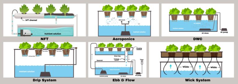 7 Types of Hydroponic System- How to choose Right One?