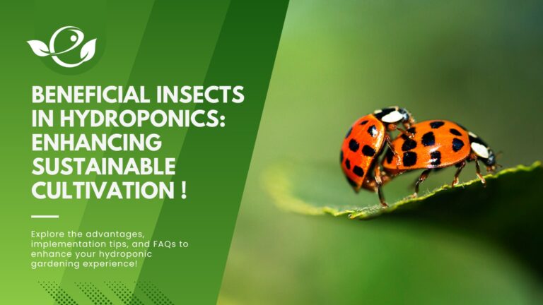 Beneficial Insects in Hydroponics: Enhancing Sustainable Cultivation ...