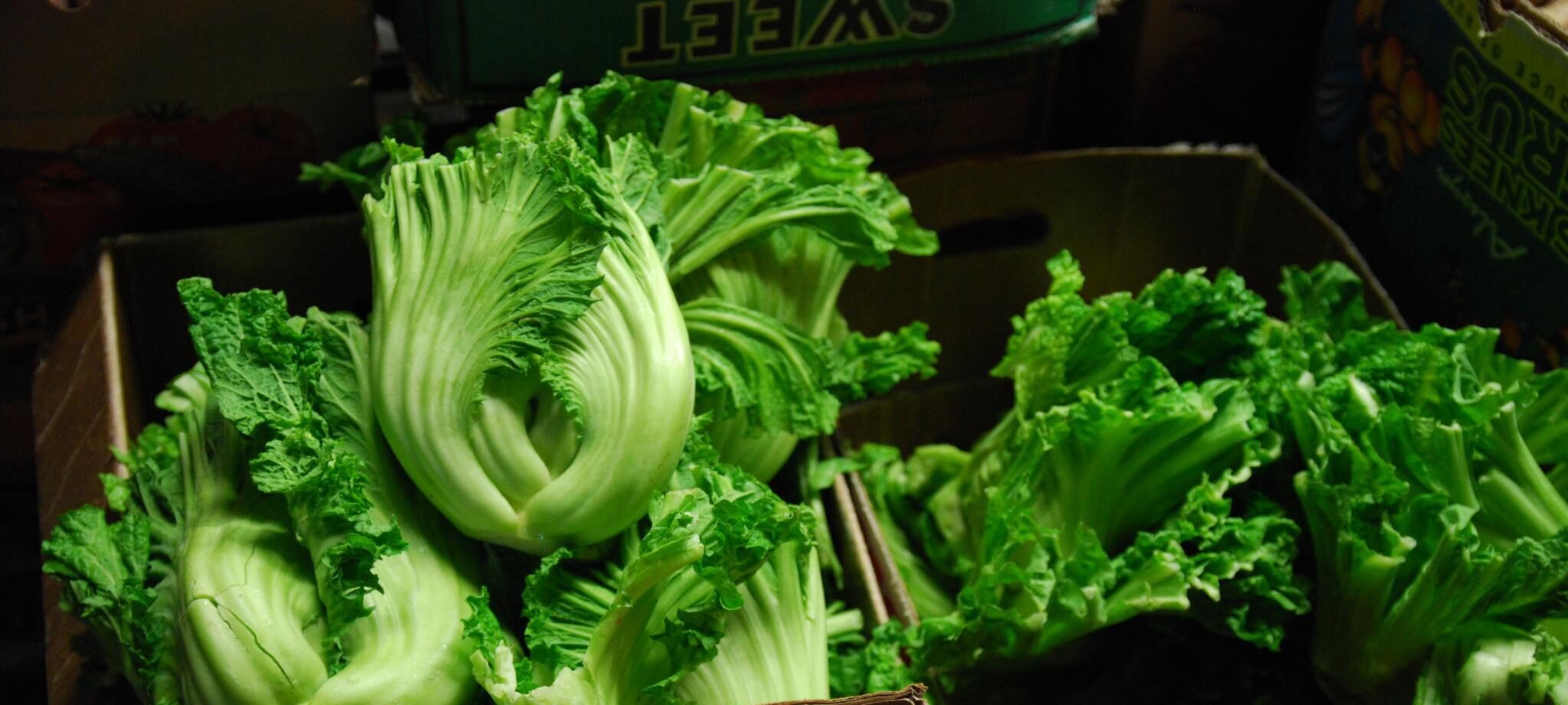 15 Best Types of Salad Greens and How to Use Them Best