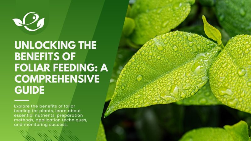Foliar Feeding 101: A Comprehensive Guide