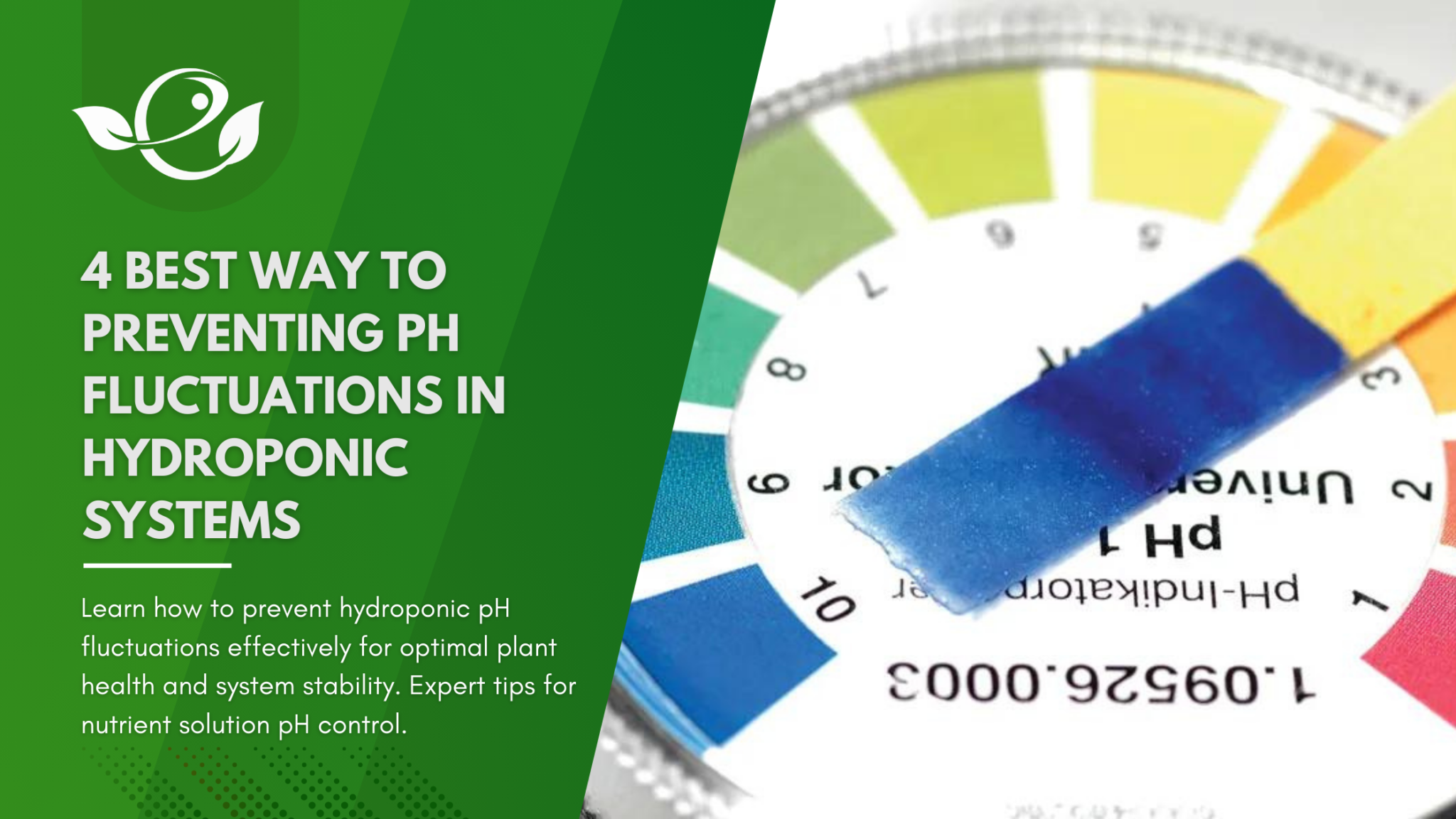 4 Best Way to Preventing pH Fluctuations in Hydroponics