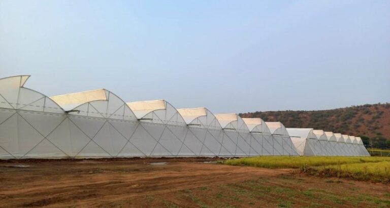 Hydroponic Farming Cost Breakdown: A Complete Guide to Setting Up a ...