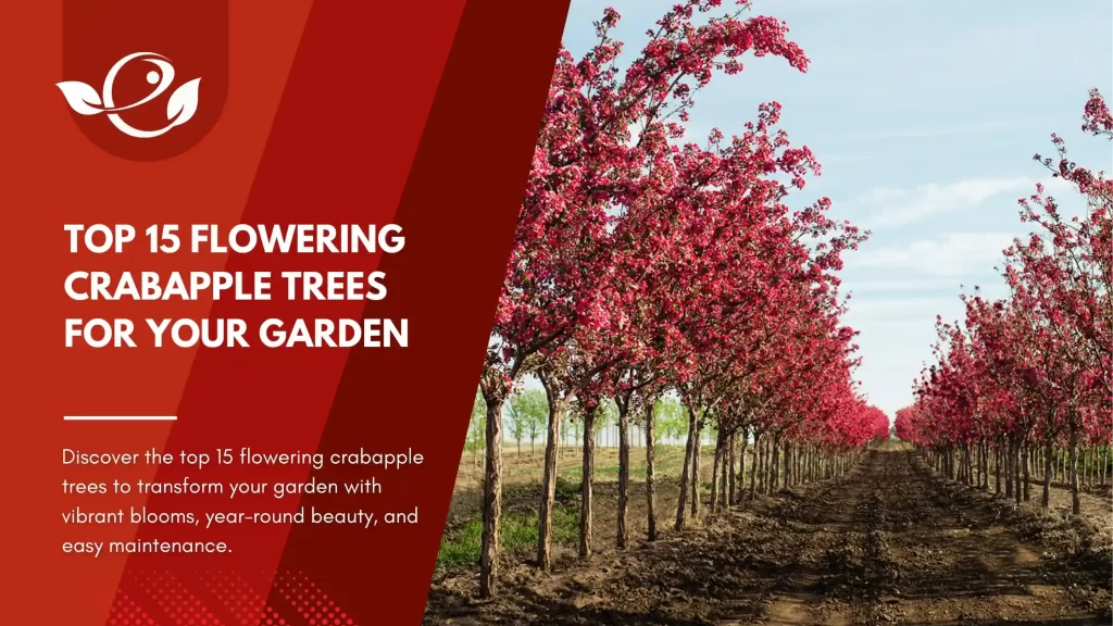 Top 15 Flowering Crabapple Trees For Your Garden