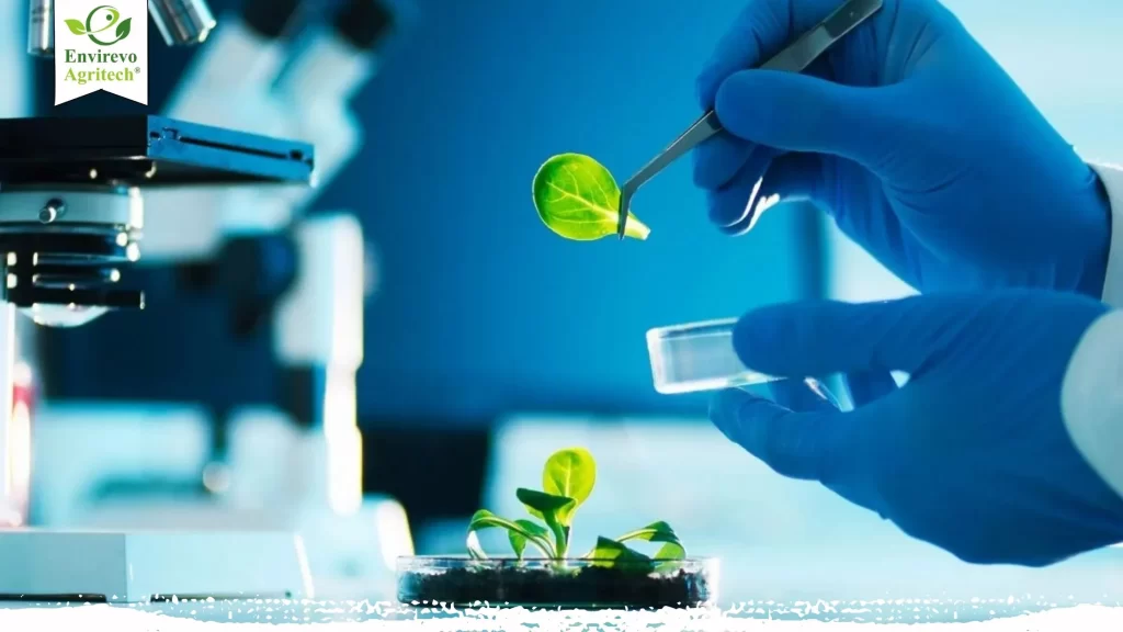 Biotechnology in Farming: GMOs, CRISPR, and Future Crops
