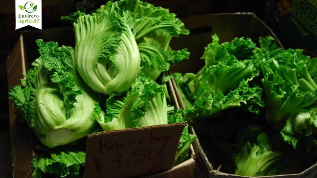 Top 12 Popular Asian Greens & Vegetables: Asian Vegetables list