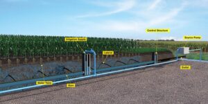 What is Subsurface Irrigation? Types of subsurface irrigation