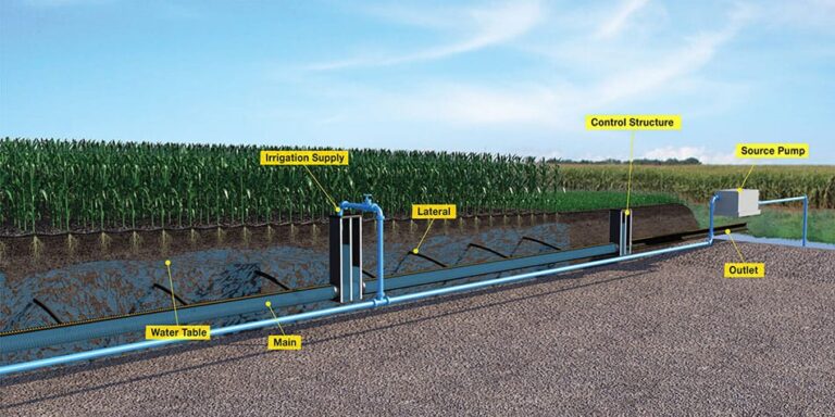 What is Subsurface Irrigation? Types of subsurface irrigation